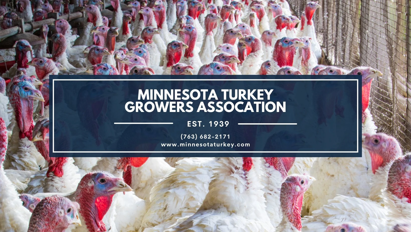 Get the most out of your turkey this Thanksgiving